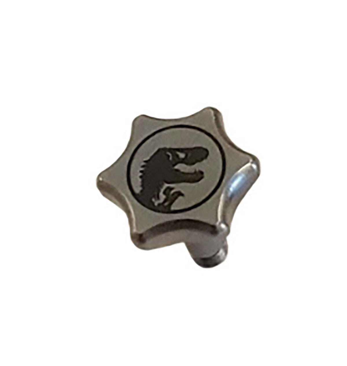RANGER POINT Marlin T-Rex Lever Takedown Screw (stainless) - Brownells ...